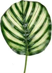 Dekorativní umělá Calathea Hawaj - 30 cm