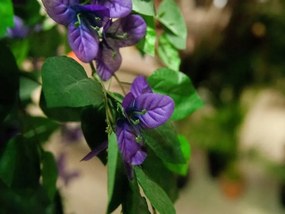 Umělá květina - Bougainvillea fialová, 150 cm