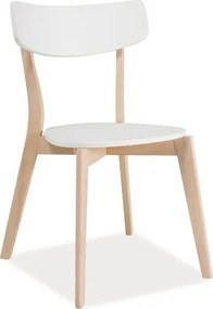 Casarredo - Komfort nábytek Dřevěná jídelní židle TIBI bílá/dub