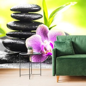Fototapeta meditační Zen kompozice - 450x300 cm