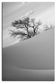 Obraz na plátně - Červené písečné duny - obdélník 7133QA (90x60 cm  )