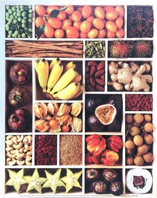 Postershop Obrazová reprodukce : Atelier NI - Exotic Fruits - 24x30cm