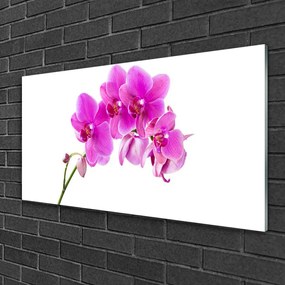 Obraz na skle Vstavač Květ Orchidej 120x60 cm