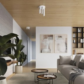 Sollux Lighting Stropní svítidlo LAGOS 3P bílé