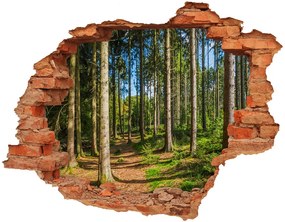 Wallmuralia Fotoobraz díra na stěnu Panorama les 90x70 cm