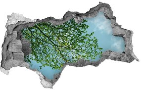 Wallmuralia Díra 3D ve zdi nálepka Listí na nebi 95x73 cm