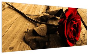 Obraz růže (100x40 cm)