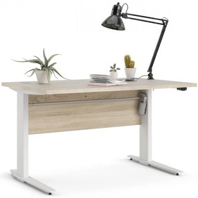 FN Výškově nastavitelný psací stůl Office 80400/382 dub sonoma/bílá