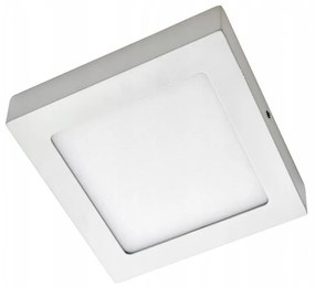 BOWI | LED Stropní svítidlo GERRY LED/6W/230V 4000K | BW0084