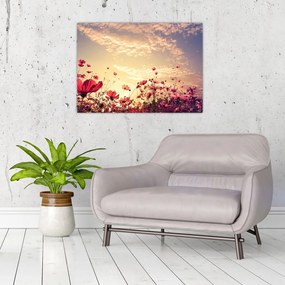 Obraz - Louka s květinami (70x50 cm)