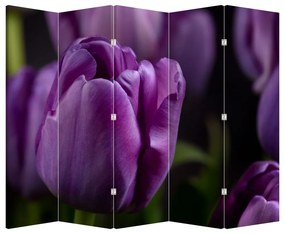 Paraván - Květ tulipánů (210x170 cm)
