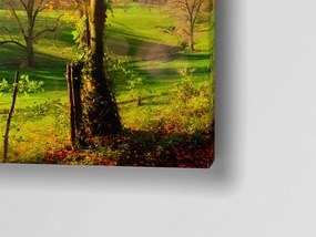 Obraz pěšina z lesa Rozměr: 100 x 45 cm