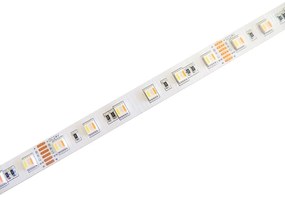 RGB+W+CW LED pásek 5v1, 19,6W/m, RGB+ Studená+ teplá bílá, 12mm, PROFI, 24V, IP20, 60LED/m