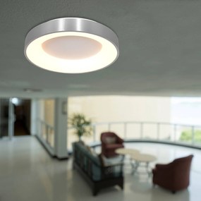 LED stropní svítidlo Ringlede 2 700 K Ø 30 cm, stříbrná