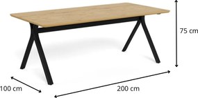 Jídelní stůl Bristol 200 cm dub divoký