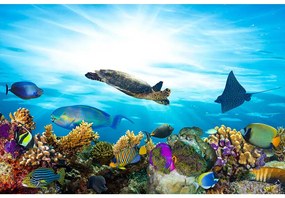 Pětidílná vliesová fototapeta Korály a ryby v oceánu, rozměr 375x250cm, MS-5-0216