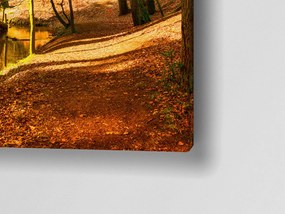 Liox Obraz řeka v lese Rozměr: 125 x 55 cm