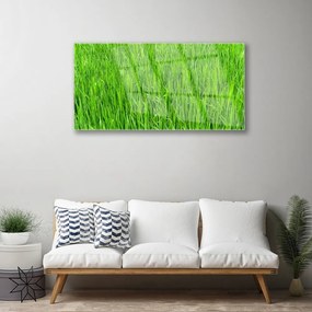 Obraz na skle Zelená Tráva Příroda Trávník 100x50 cm