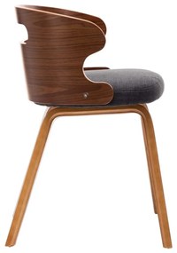 Petromila Jídelní židle 2 ks tmavě šedé ohýbané dřevo a textil