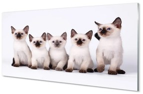 Obraz na skle malé kočky 120x60 cm
