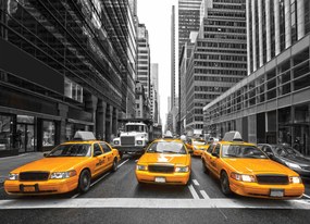 Malvis Tapeta NYC taxi Vel. (šířka x výška): 432 x 290 cm