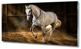 Wallmuralia Moderní foto obraz na stěnu Bílý kůň ve stáji 100x50