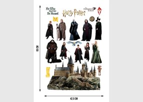 Dětská samolepka na zeď Harry Potter Kouzelné Bradavice | 42.5 x 65 cm | DDKM1655