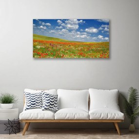 Obraz na plátně Louka Květiny Krajina 140x70 cm