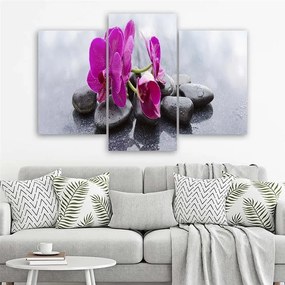 Gario Obraz na plátně Orchidej a černé kameny - 3 dílný Rozměry: 60 x 40 cm