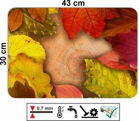 PokojovaDekorace.cz, Prostírání - 078, Imitace dřeva, 43x30cm