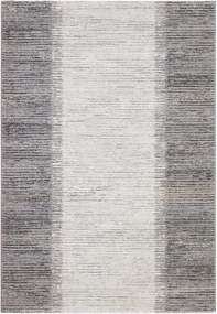Koberec Ragolle Argentum 63849 9293