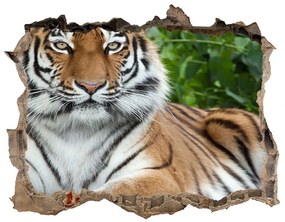Wallmuralia Díra 3D fototapeta nálepka Sibiřský tygr 95x64 cm