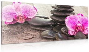 Obraz orchidej a Zen kameny na dřevěném podkladu - 120x60 cm