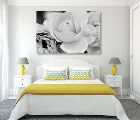 Obraz plný růží v černobílém provedení - 90x60 cm