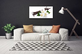 Obraz na plátně Tyčinka Vanilky do Kuchyně 100x50 cm