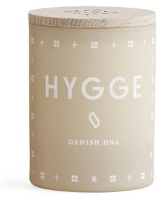Skandinavisk Vonná svíčka HYGGE – útulný domov, 55g