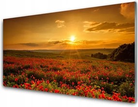 Moderní nástěnný skleněný obraz Fotografie Pole máků 140x70