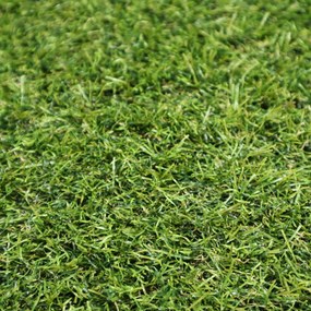 Europe Grass, Umělá tráva Profi Garden, na míru, šíře 4m, zelená