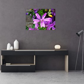 Skleněný obraz - luční květiny (70x50 cm)