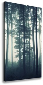 Wallmuralia Vertikální Foto obraz canvas Mlha v lese 50x100