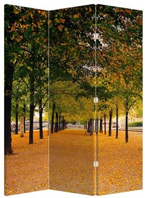 Paraván - Alej podzimních stromů (126x170 cm)