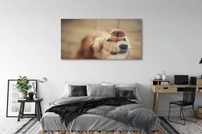 akrylový obraz dog bun 140x70 cm