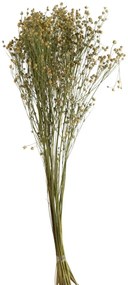 Svazek sušených květin Len žlutý - 12*10*70 cm