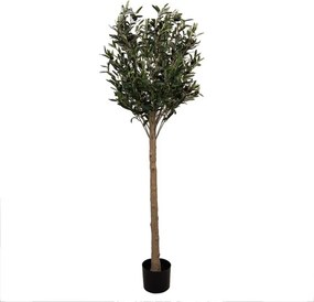 Dekorace umělý stromek olivovník s olivami Olea Tree - 50*50*165 cm