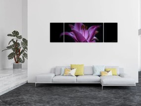 Obraz lilie (170x50 cm)