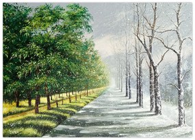 Skleněný obraz - Zima versus léto (70x50 cm)