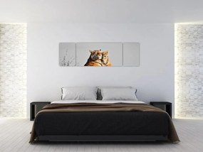 Obraz - Tygřice a její mládě, černobílá varianta (170x50 cm)