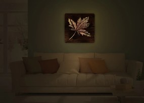 Li-Go "List javoru" světelný obraz 230V 62x62 cm provedení povrchu: bříza