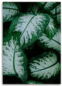 Gario Obraz na plátně Tropické listy bílé a zelené Rozměry: 40 x 60 cm