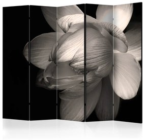 Paraván - Lotus flower II [Room Dividers]
